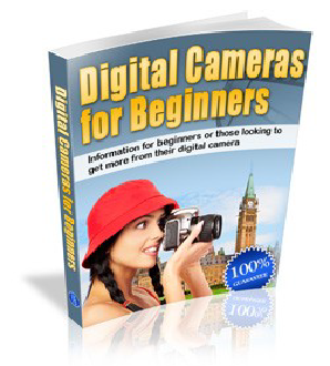 Digital Cameras For Beginners – Venora